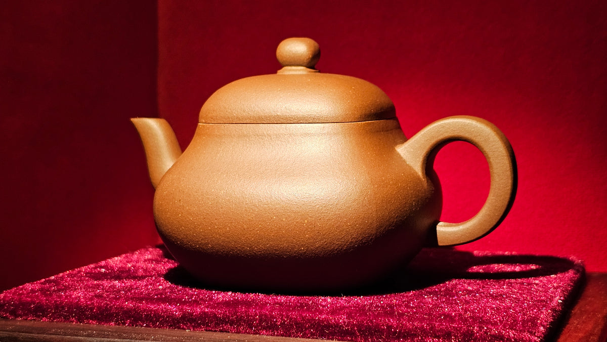 Zenith Work from Polygonal Class Work Extraordinaire ASSOC MASTER YANG ...