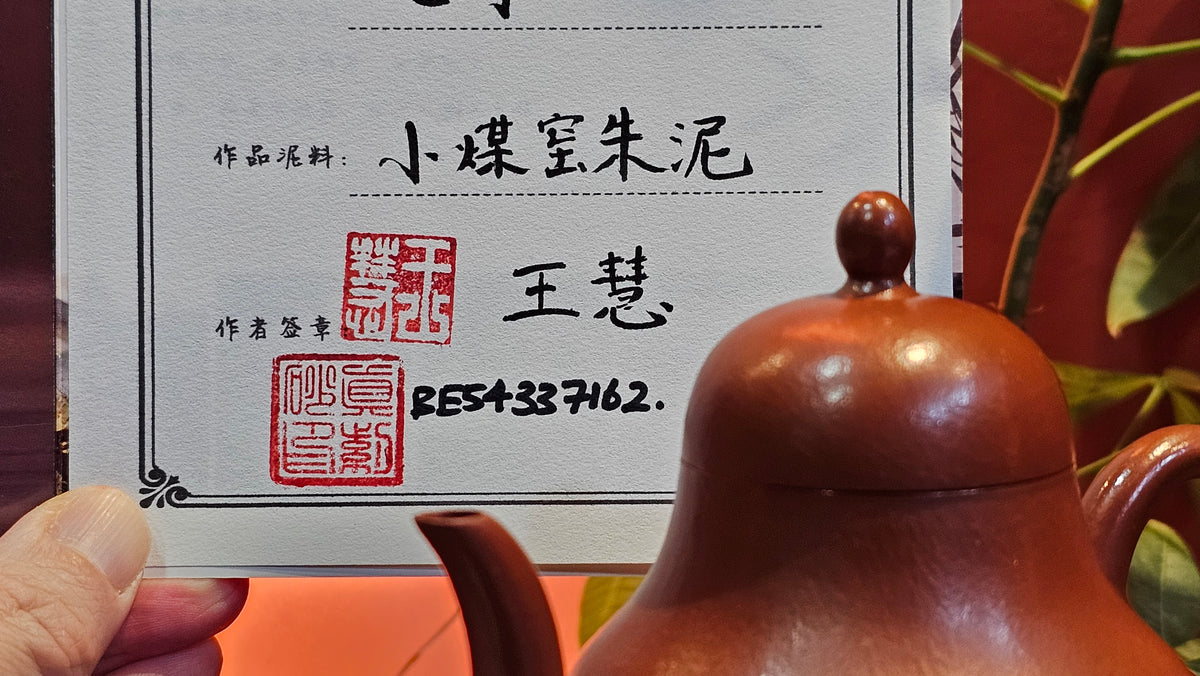 Si Ting 思亭, 186.9ml, Xiao Mei Yao Zhu Ni 小煤窑朱泥, by our Collaborative C ...