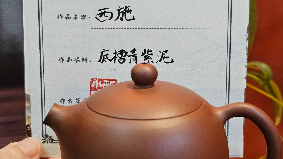 Xi Shi 西施, 171.1ml, Di Cao Qing Zi Ni 底槽青紫泥, by Craftsman Gu Xiao Ming ...